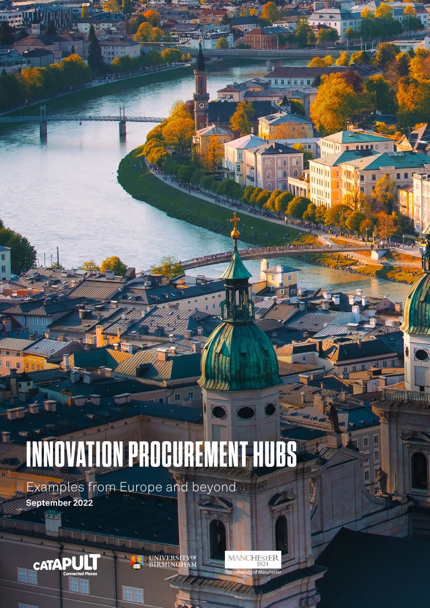 Sparking innovation in the market: the role of expert support hubs ...